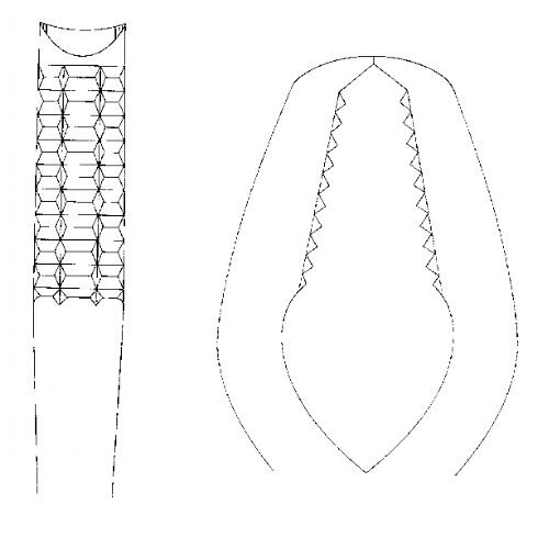 Lane Bone Holding Forceps | Standard Model With Ratchet - OrthoMed ...